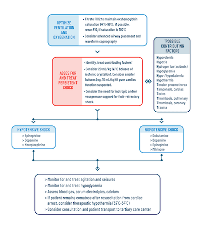 ProMed Certifications Algorithms | Pediatric Cardiac Arrest Algorithm